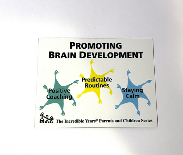 Magnets - The Incredible Years